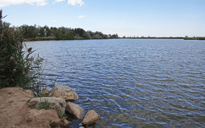 6 Best Places to Paddle Board in Salt Lake City, UT