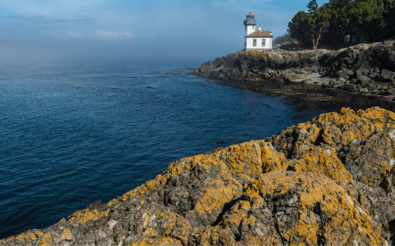 7 Best Places to Paddle Board on San Juan Islands, WA